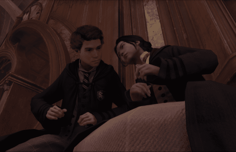 Hogwarts Legacy Romance - 🎮💕Gamer Yard
